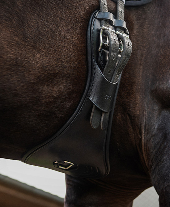 Innovative products for the ambitious rider | PresTeq